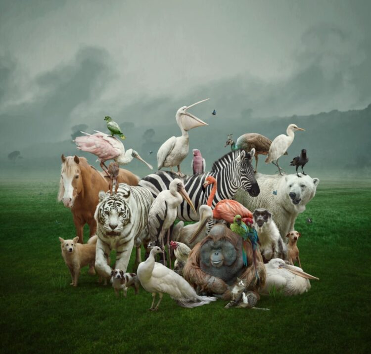 15 Different Types of Land Animals - Cotribune